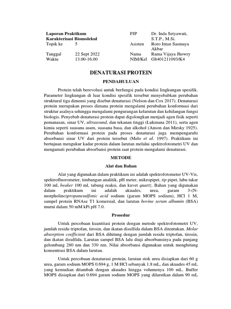 Denaturasi Protein | PDF