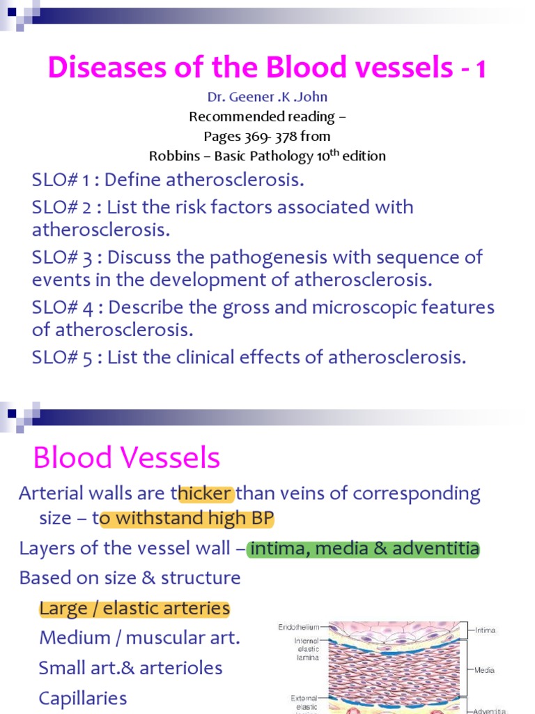 CVS 1 PDF | Download Free PDF | Atherosclerosis | Artery