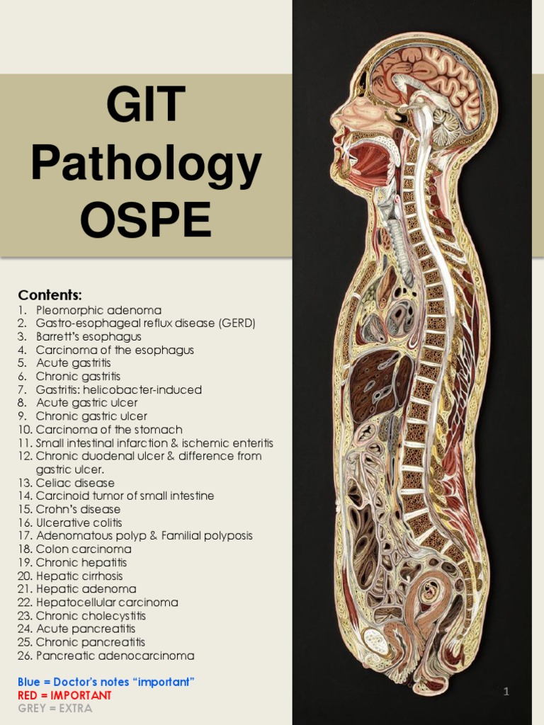 GIT OSPE Pathology - Final-2 PDF | PDF | Esophagus | Esophageal Cancer