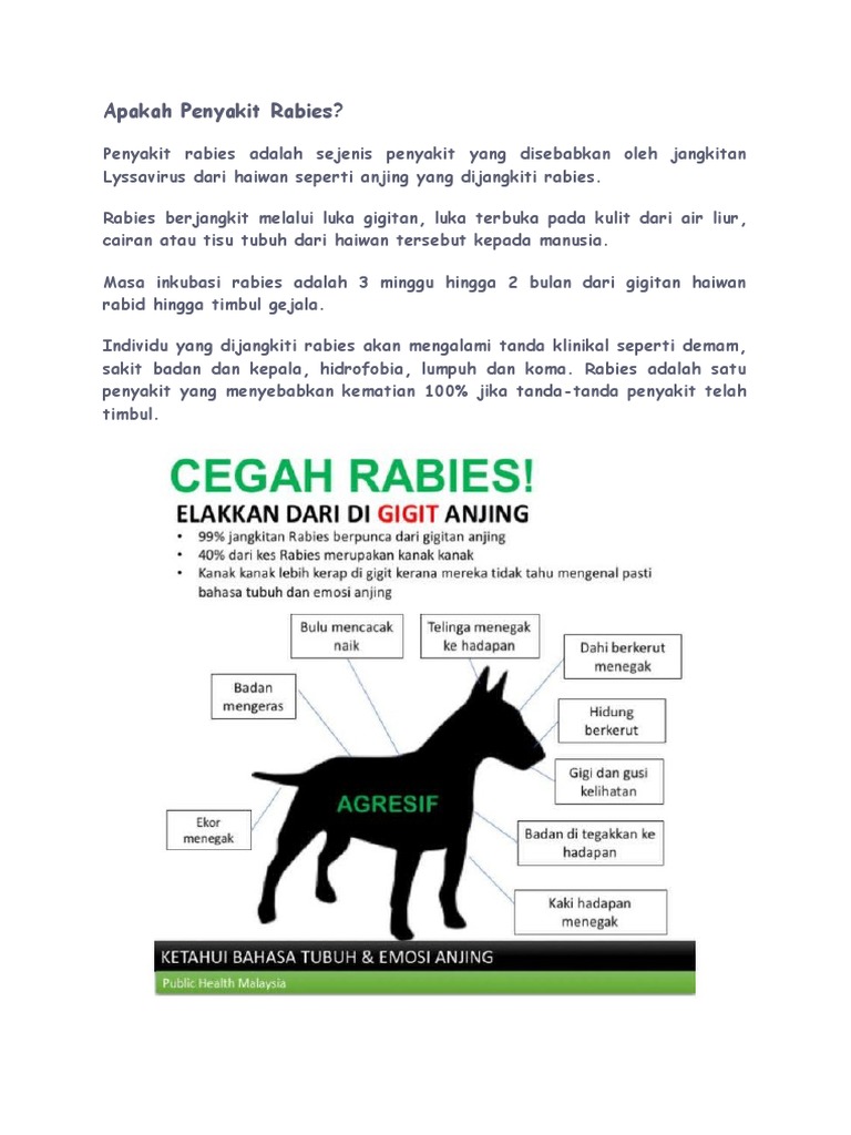 Apakah Penyakit Rabies | PDF Apakah Penyakit Rabies | PDF