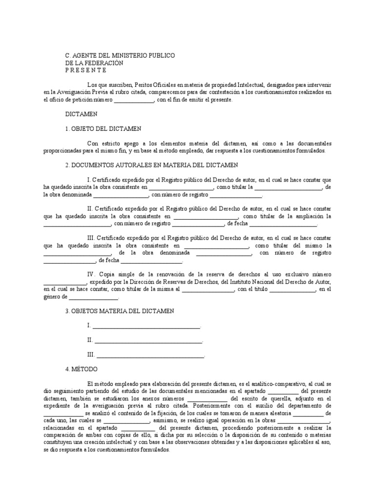 DICTAMEN PERICIAL | PDF | Informática
