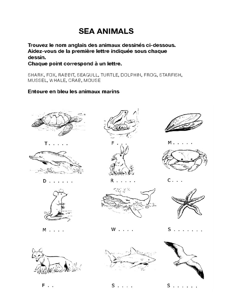 Noms d'animaux marins à découvrir | PDF