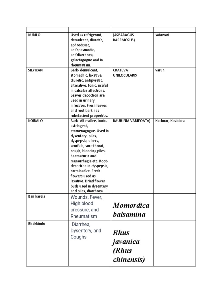 Medicinal Uses of Kurilo and Plants | PDF