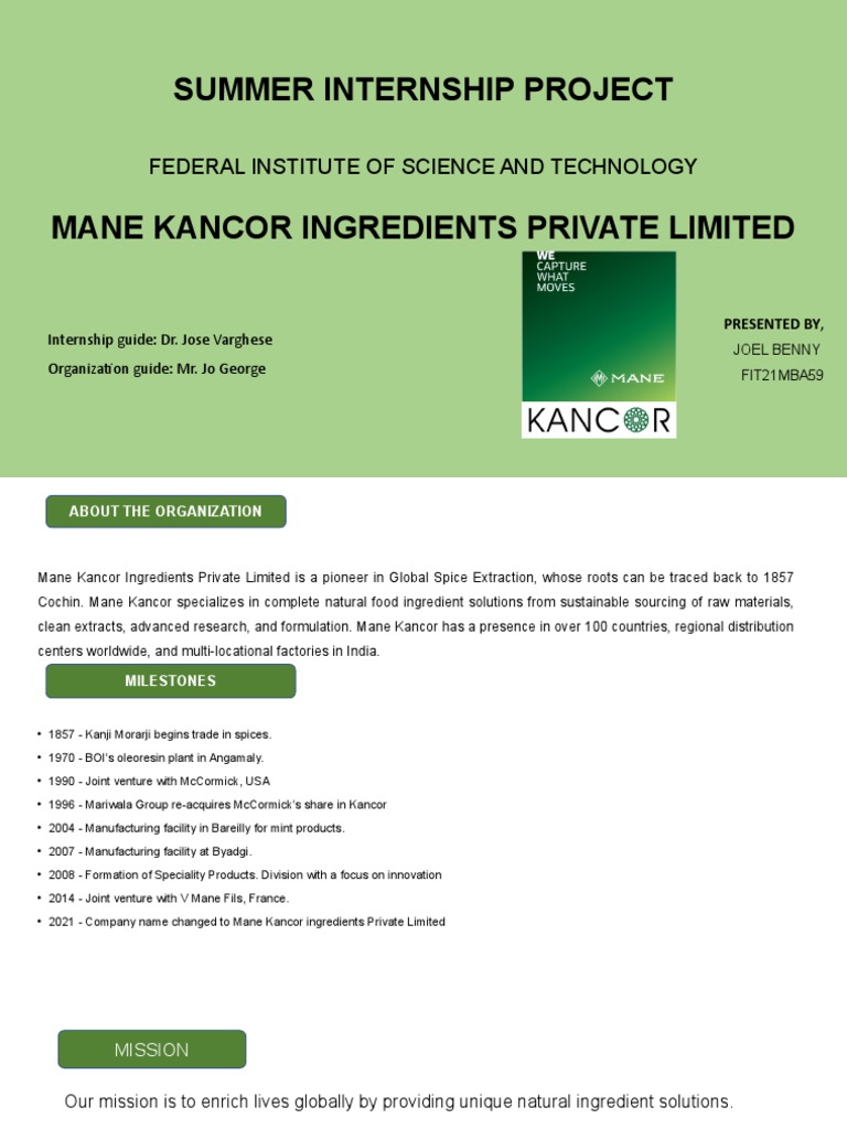 Summer Internship Project Presentation | PDF | Warehouse | Databases