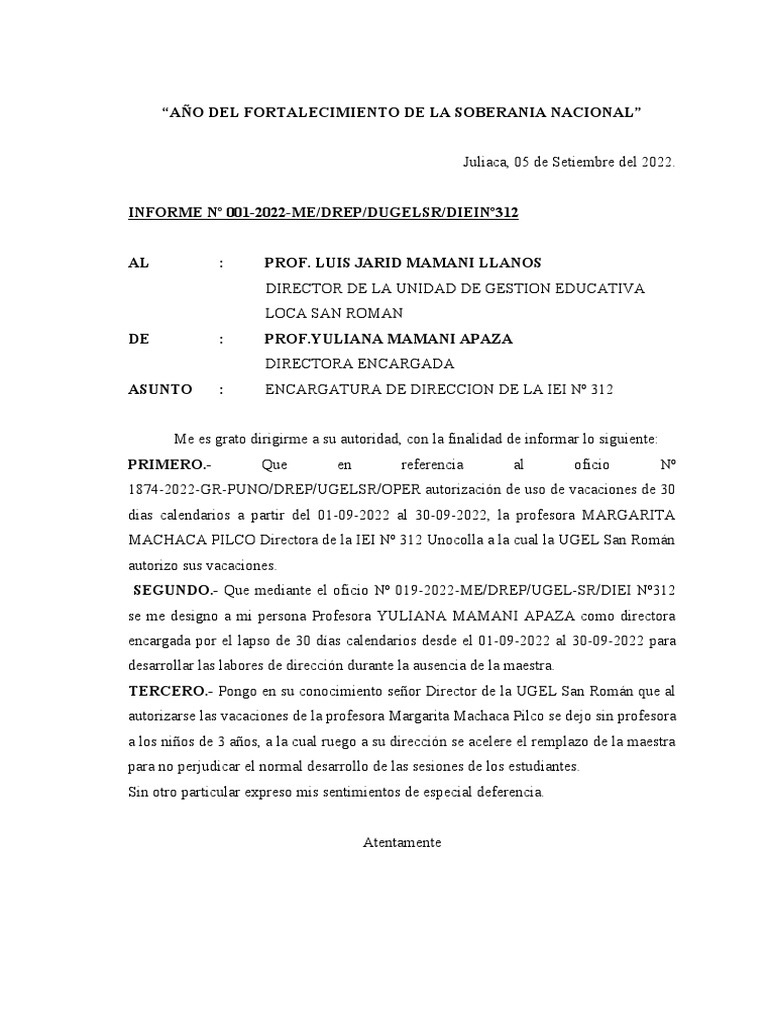 MODELO DE INFORME Yuli | PDF