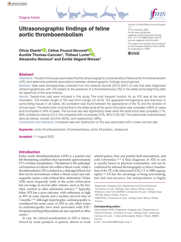 Ultrasonographic Findings of Feline Aortic Thromboembolism | PDF ...