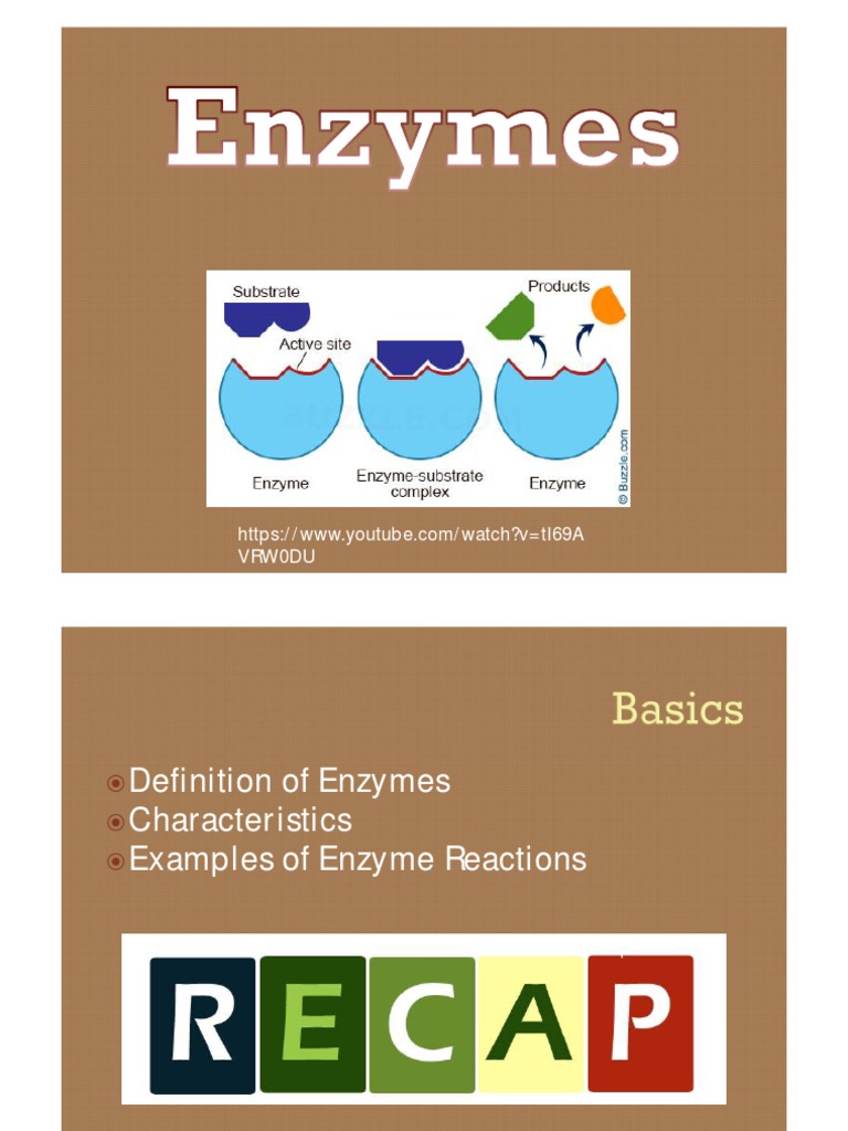 Exploring the Properties and Mechanisms of Enzymatic Reactions | PDF ...