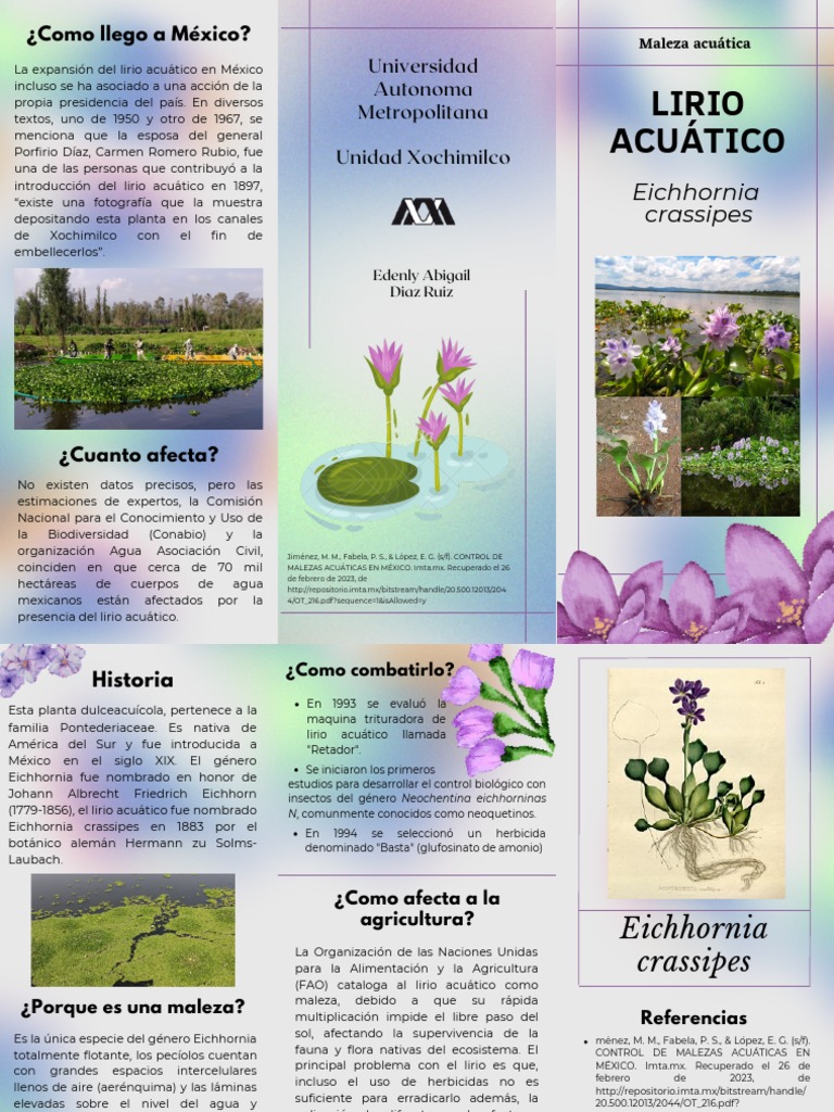 Lirio Acuatico | PDF | México | Ciencias de la Tierra
