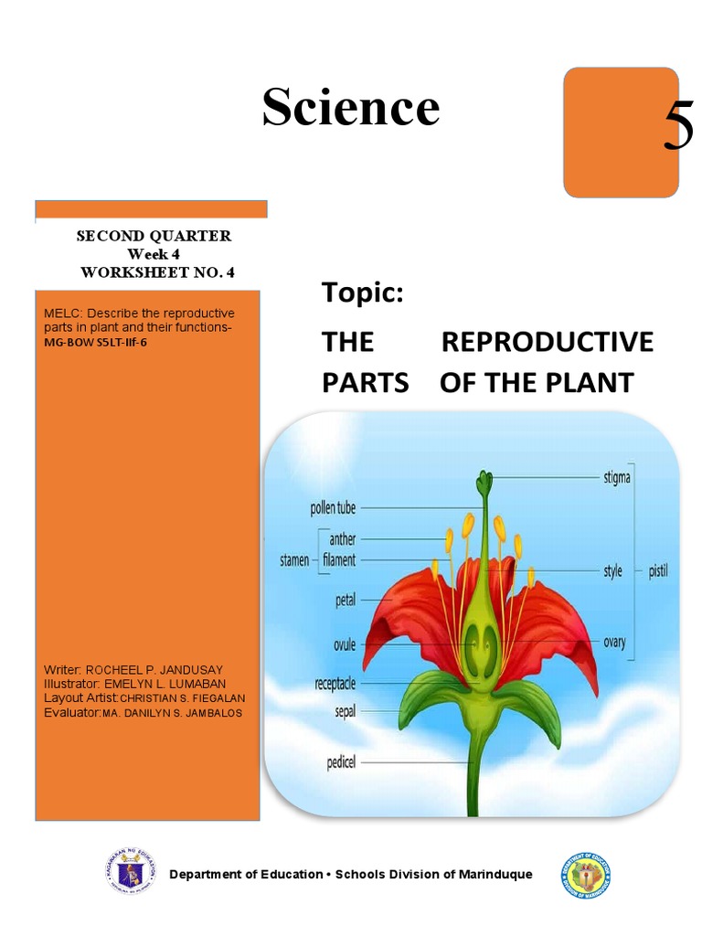 SIM-Science-Week 4 | PDF | Flowers | Petal