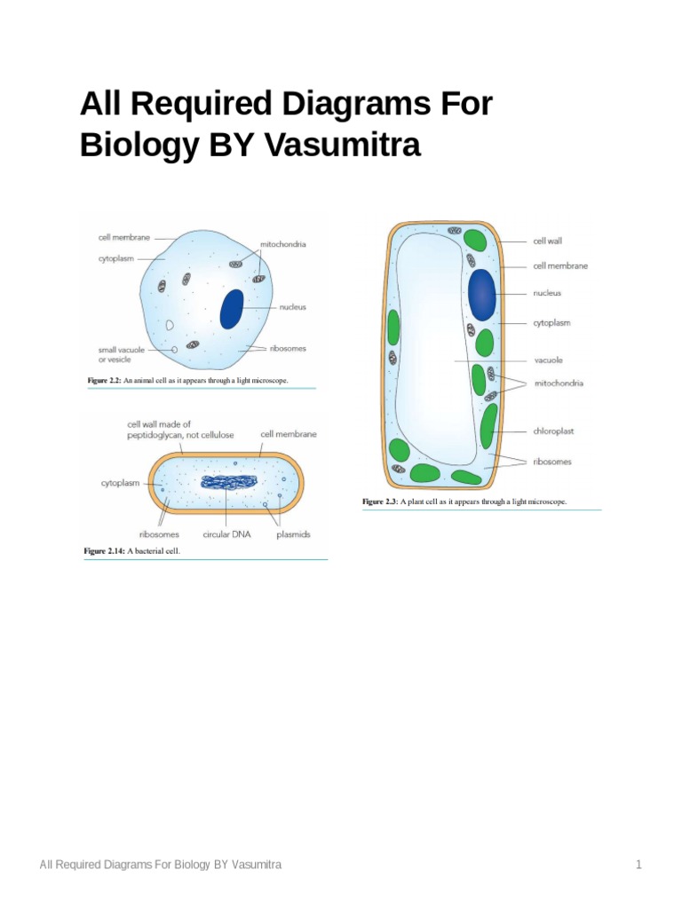 Essential Biology Diagrams by Vasumitra | PDF