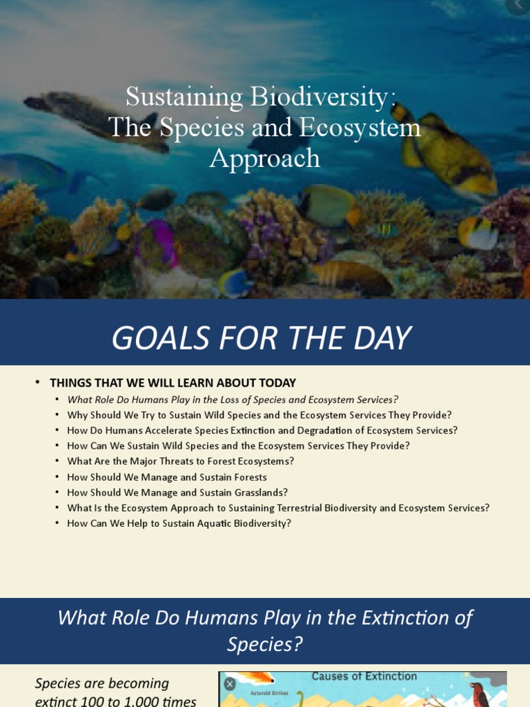 WEEK 4-Sustaining Biodiversity | PDF | Coral Reef | Deforestation