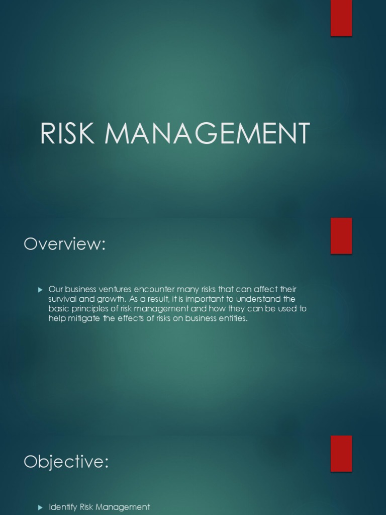 Essential Guide to Risk Management | PDF | Risk Management | Risk