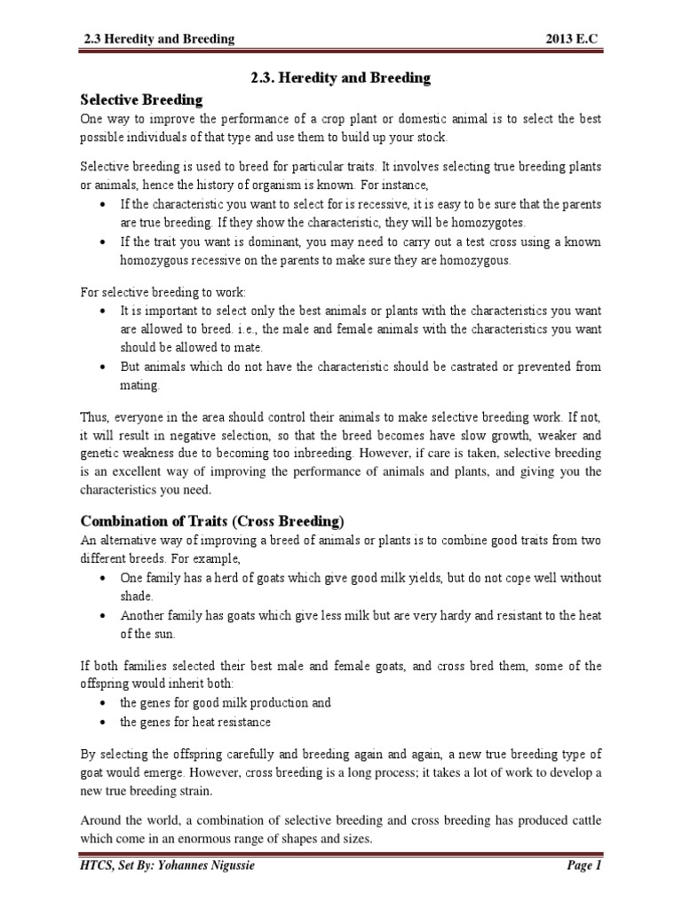 G-10 Biology, 2.3 Heredity and Breeding | PDF | Selective Breeding | Cattle