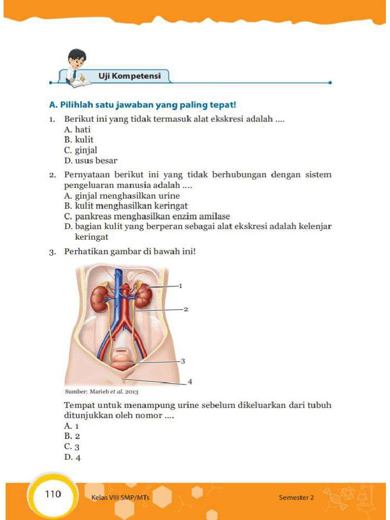 Latihan Soal Pra PAT-Sistem Ekskresi | PDF