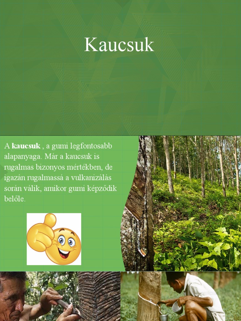 Kaucsuk | PDF