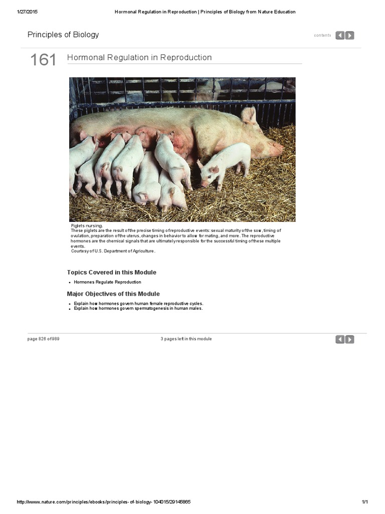 Lecture15 - (161) Hormone in Reproduction | PDF | Luteinizing Hormone | Menstrual Cycle