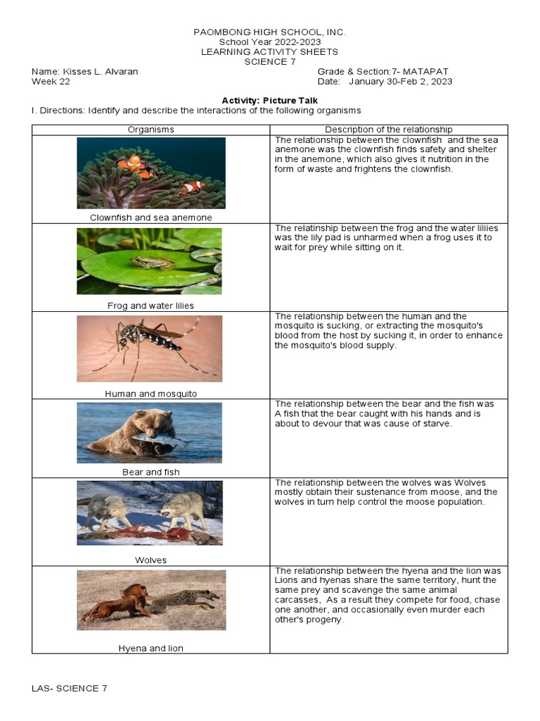 PAOMBONG HIGH SCHOOL LEARNING ACTIVITY SHEETS SCIENCE 7 | PDF | Lion ...
