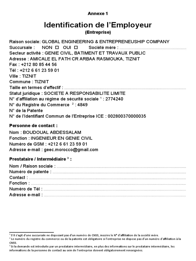 Annexe 1 | PDF | Business