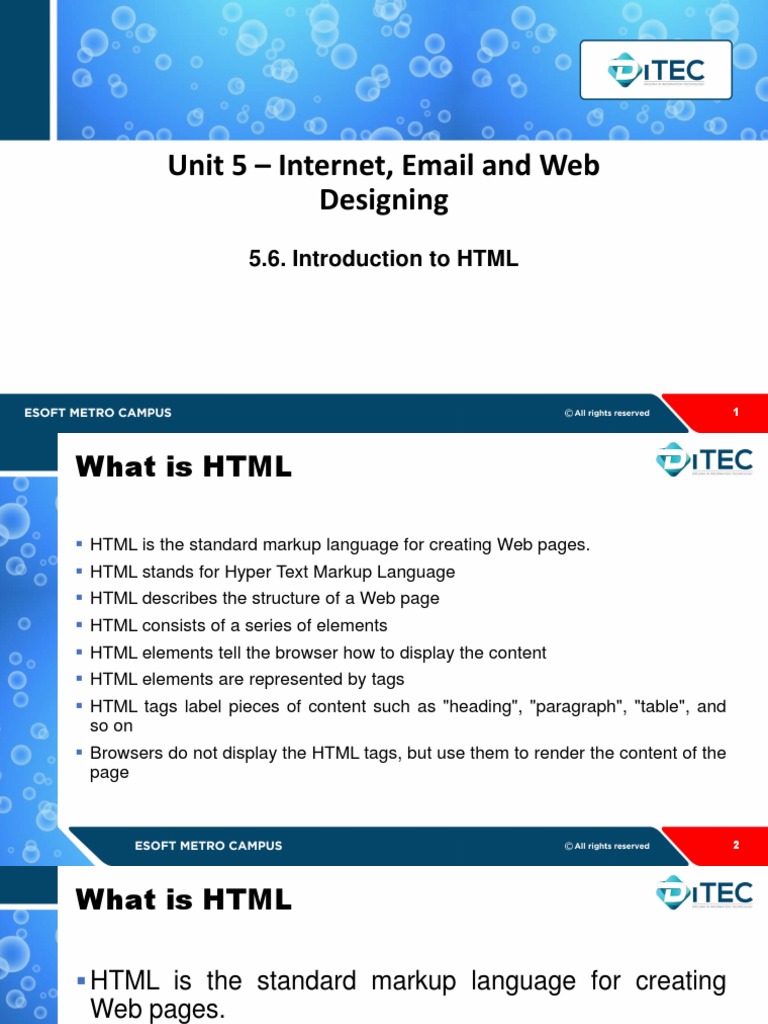 HTML Basics for Beginners | PDF | Html | Html Element