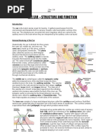 Grade 12 Life Science The Ear PDF | PDF | Ear | Hearing