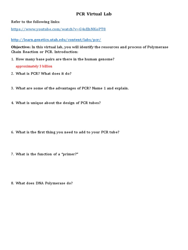 PCR Virtual Lab Overview and Questions | PDF | Science & Mathematics ...