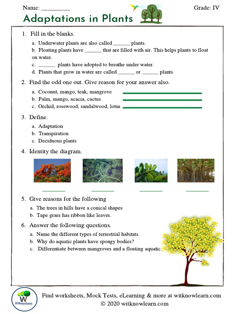 Adaptations in Plants I Class 4 Worksheet 0 2020 10 08 085203 | PDF