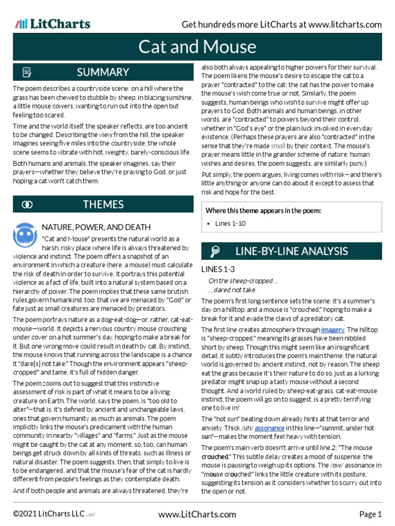 LitCharts-Cat and Mouse Analysis | Download Free PDF | Poetry | Prayer