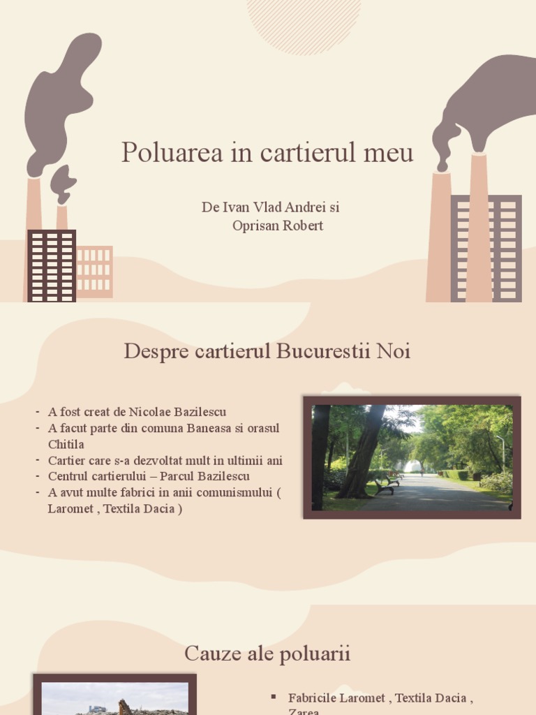 Poluarea in Cartierul Meu | PDF