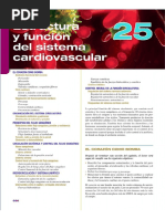 Función y Ubicación del Plexo Cardíaco | PDF