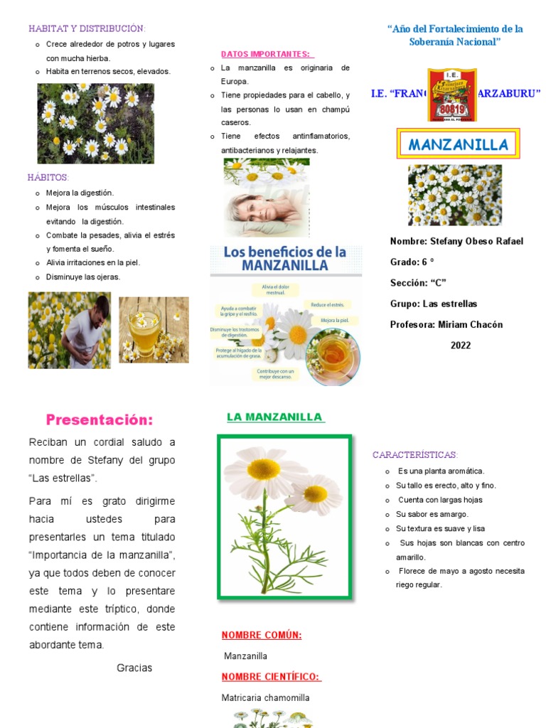Triptico de La Manzanilla | PDF | Plantas | Plantas comestibles