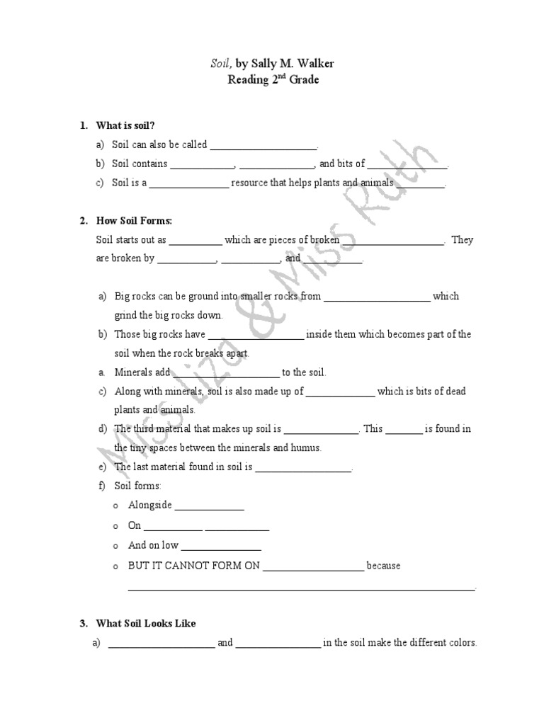 Understanding Soil for 2nd Graders | PDF | Soil | Materials