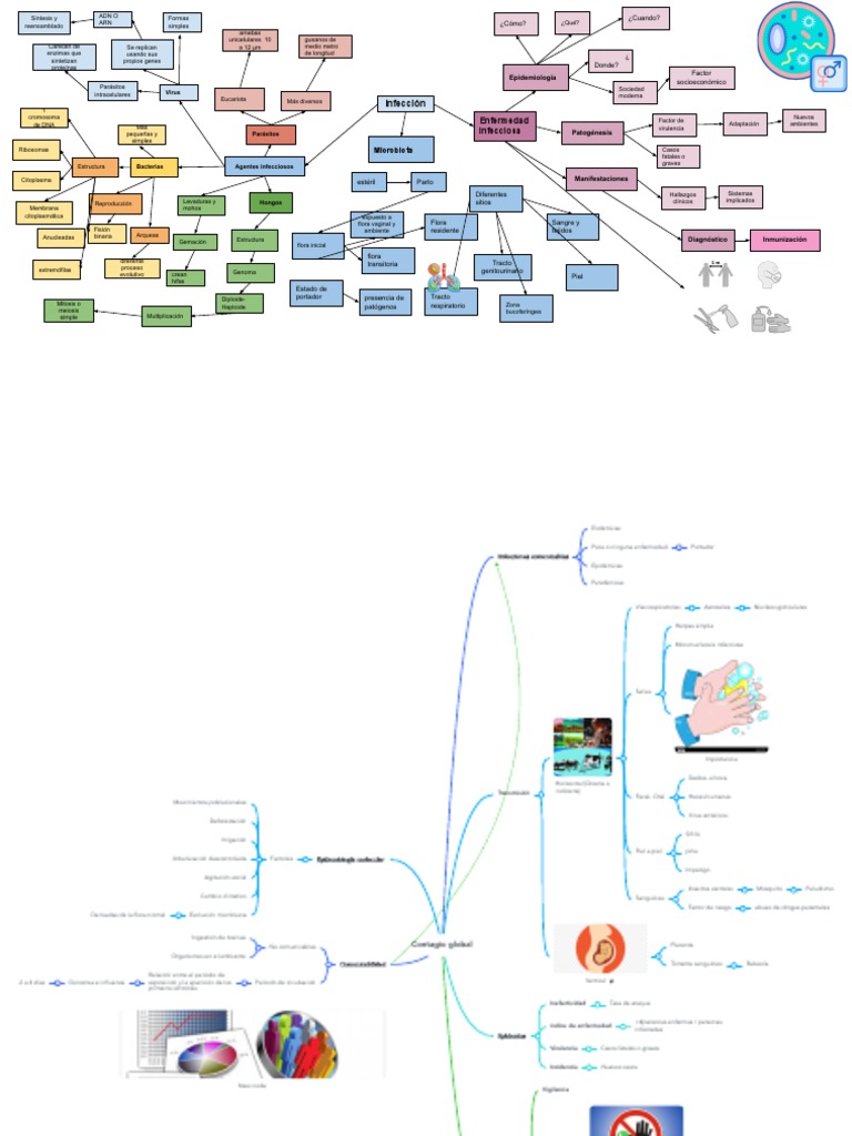 A1 Mapa Mental y Conceptual | PDF | Virus | Infección