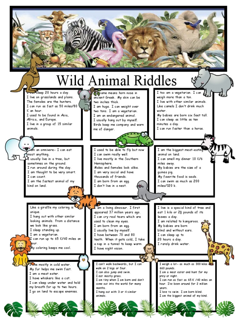Animal Riddles for Kids | PDF | Cats | Giraffe