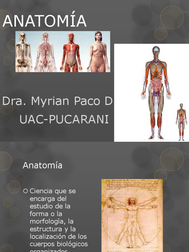 Primera Clase Anatomia Pdf Términos Anatómicos De Ubicación Anatomía