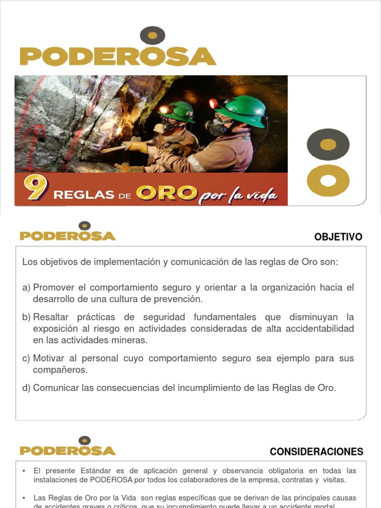9 Reglas De Oro Pdf Seguridad Y Salud Ocupacional Minería