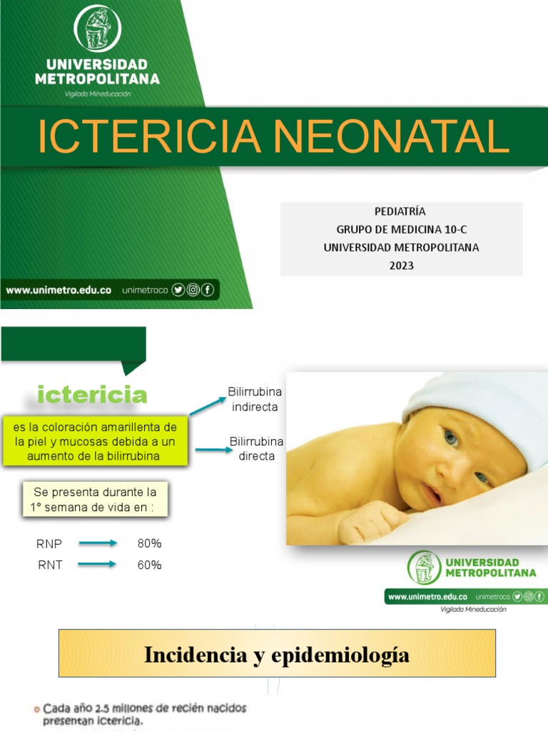Ictericia Neonatal | PDF | Medicina CLINICA | Enfermedades y trastornos