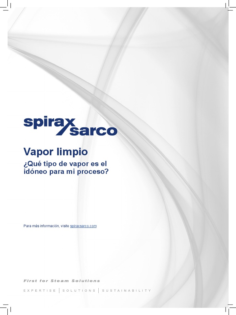 Vapor Limpio: ¿Qué Tipo de Vapor Es El Idóneo para Mi Proceso? | PDF | Análisis de Riesgo y ...