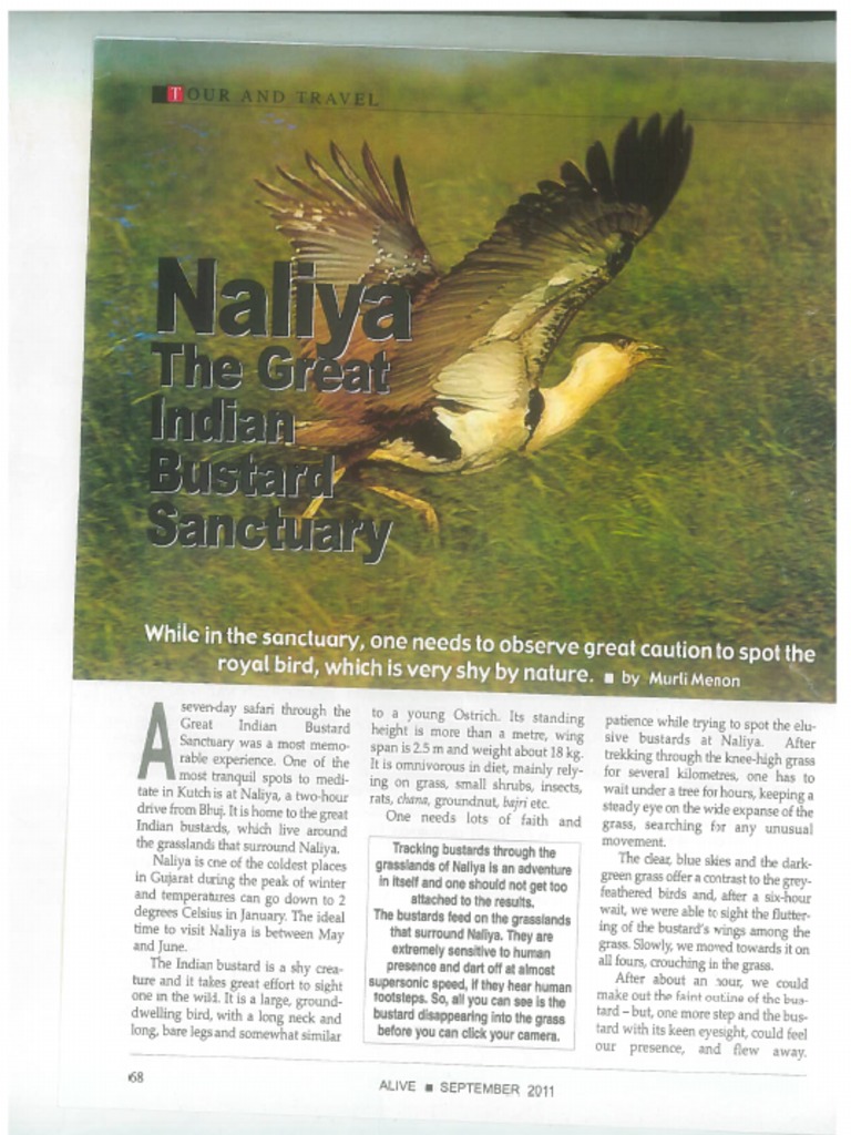Naliya PDF | PDF