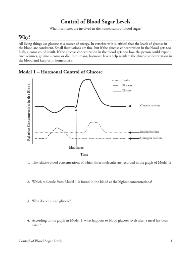 28 Control of Blood Sugar Levels-S | PDF | Glycogen | Glucose