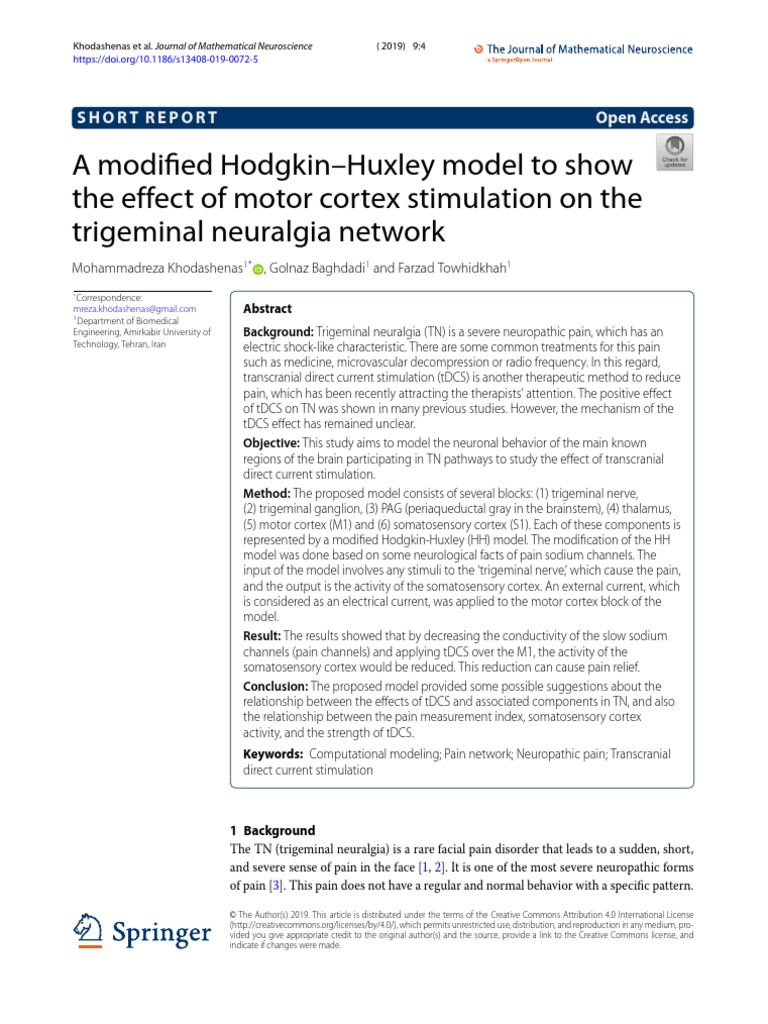 A Modified Hodgkin-Huxley Model To Show The Effect PDF | PDF | Pain ...