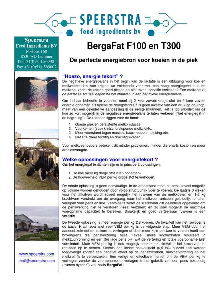 25 Bergafat F 100 T300 NL PDF | PDF