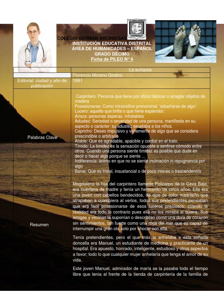 Corecta Ficha Pileo N°4 | PDF