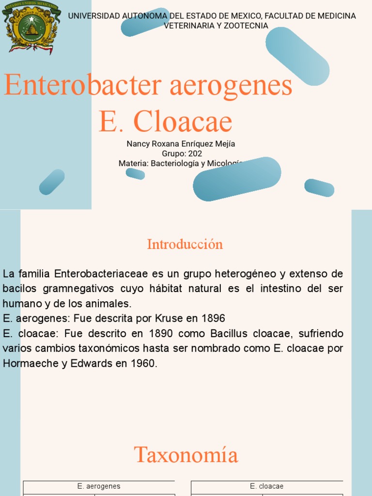 Enterobacter Aerogenes | PDF | Leche | Escherichia coli