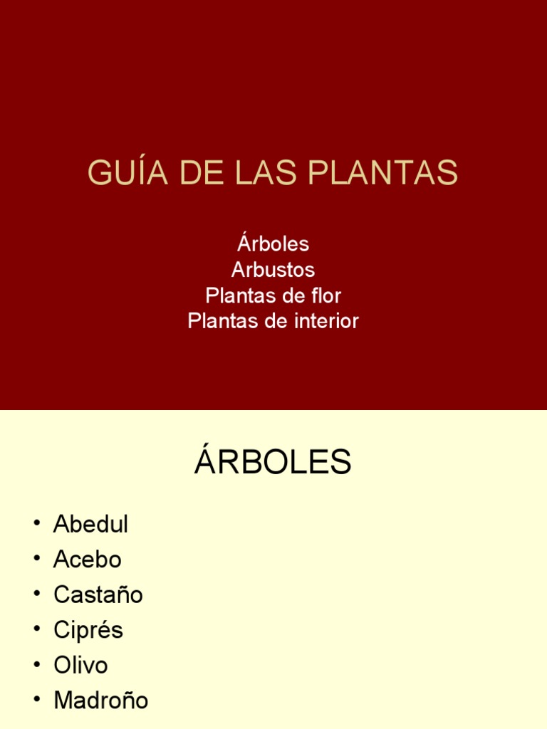 Guía de Las Plantas | PDF