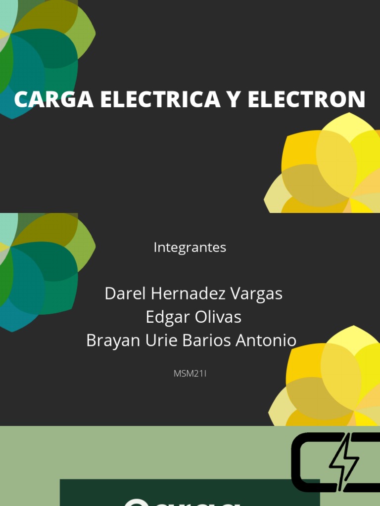 Carga Electrica Y Electron Pdf Carga Eléctrica Electrón