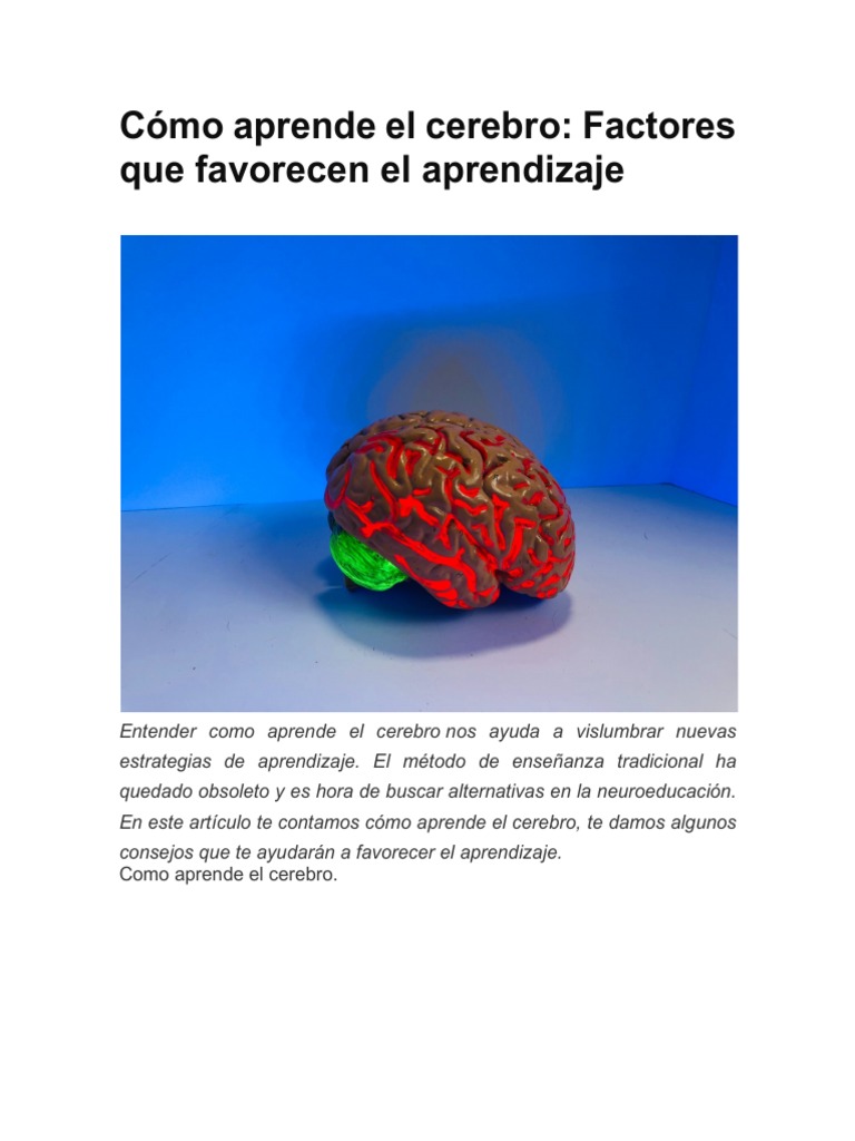 Cómo Aprende El Cerebro Pdf Aprendizaje Las Emociones