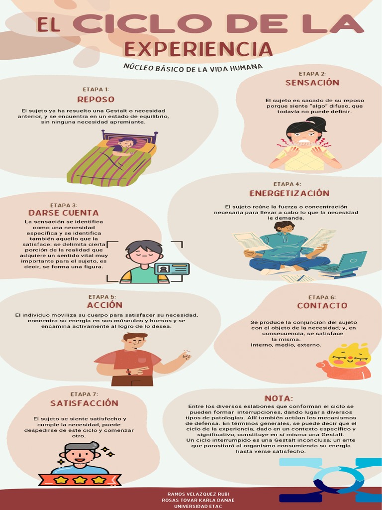 El Ciclo de La Experiencia | PDF | Terapia Gestalt | Sicología