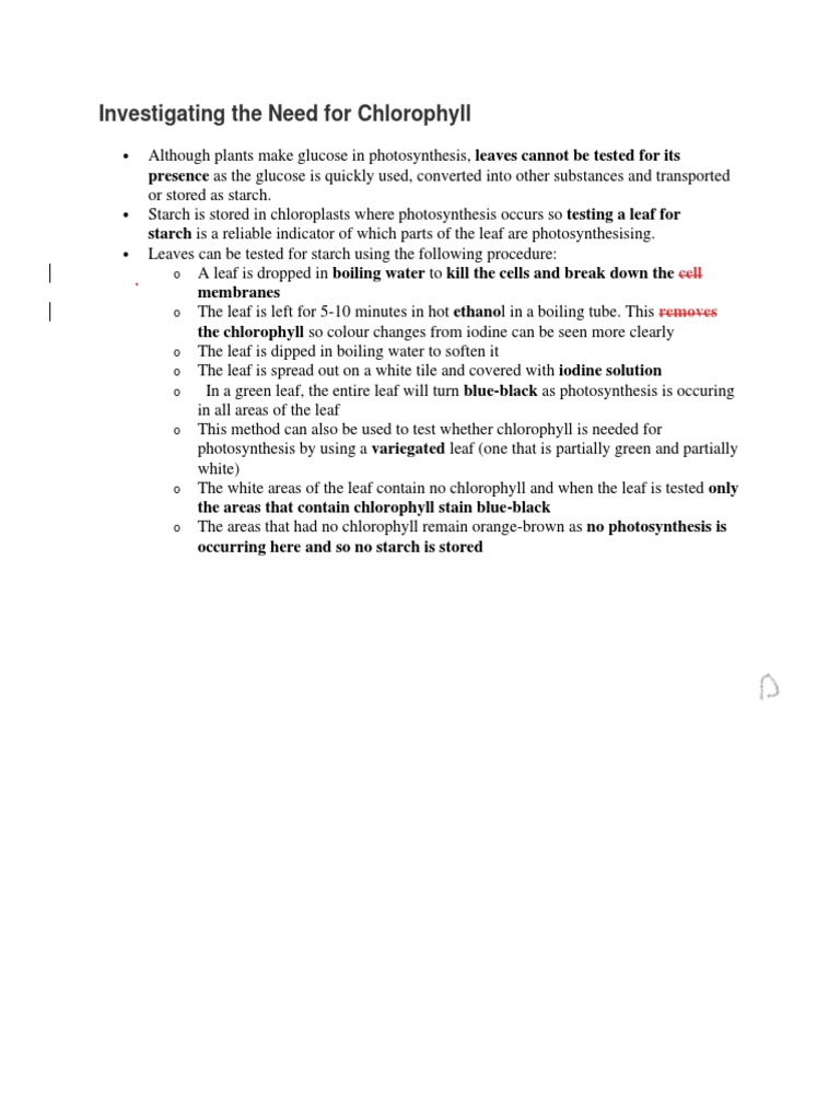 Investigating The Need For Chlorophyll Igcse Biology | PDF ...