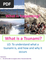 Lesson 1 - Tsunamis | PDF | Tsunami | Earthquakes