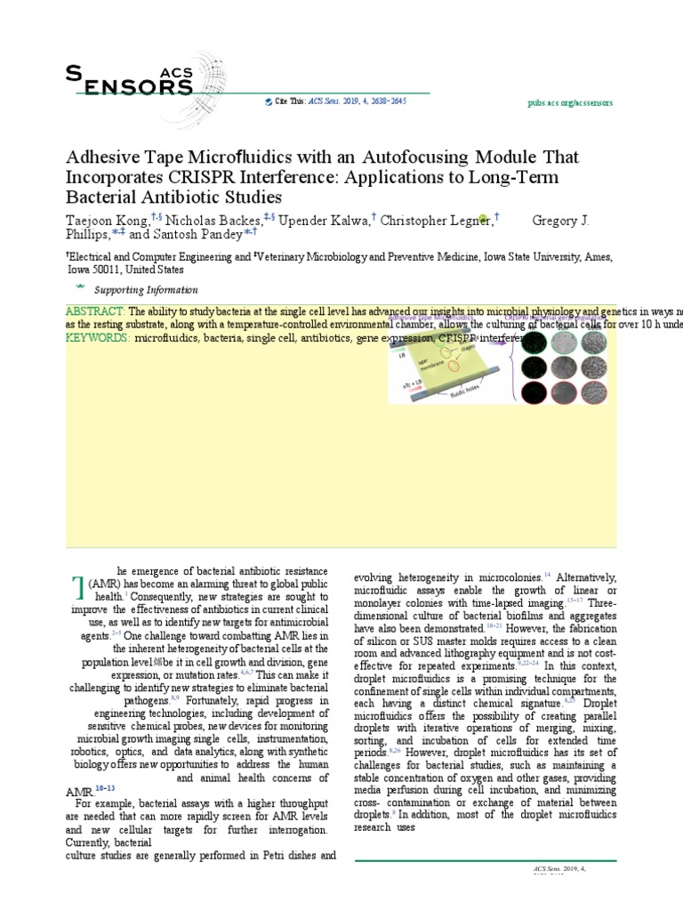 Adhesive Tape Microfluidics For Long Term Bacterial Imaging at Single ... Adhesive Tape Microfluidics For Long Term Bacterial Imaging at Single ...